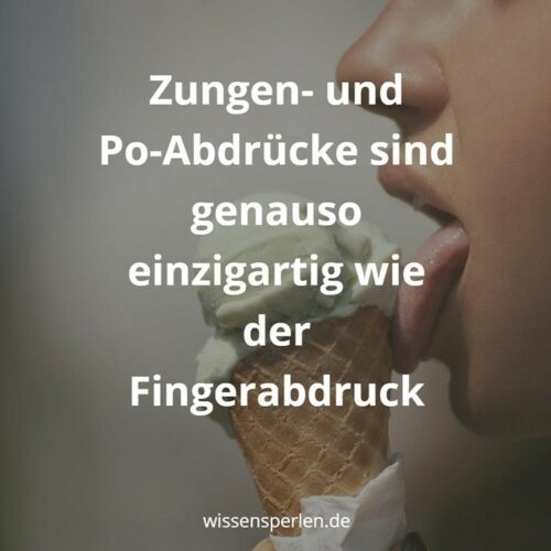 Zungen Und Po Abdrücke Sind Genauso Einzigartig Wie Der Fingerabdruck Wissensperlen