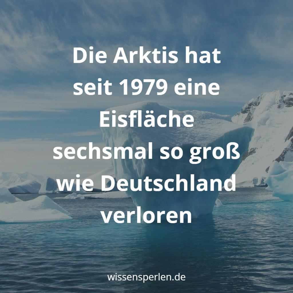 Die Arktis hat seit 1979 eine Eisfläche sechsmal so groß wie ...